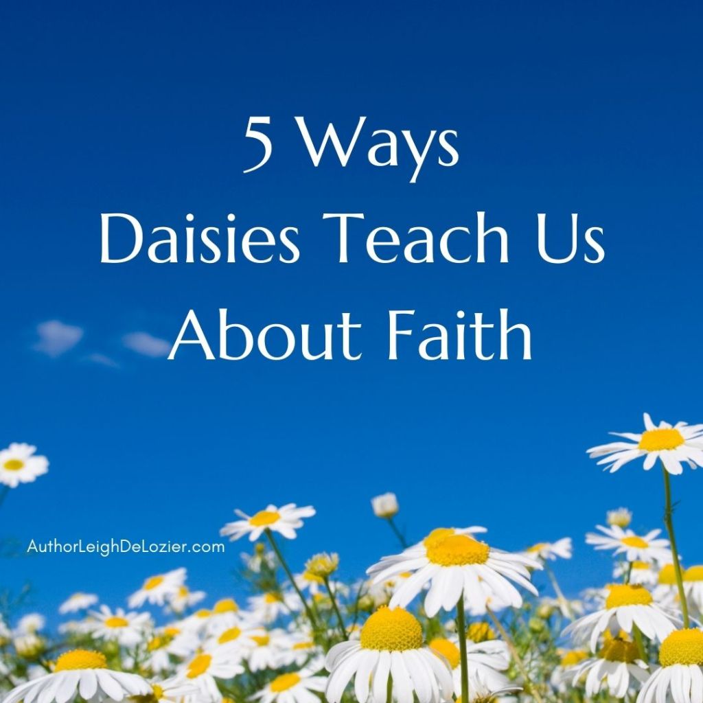 What Daisies Teach Us About Faith – Leigh DeLozier